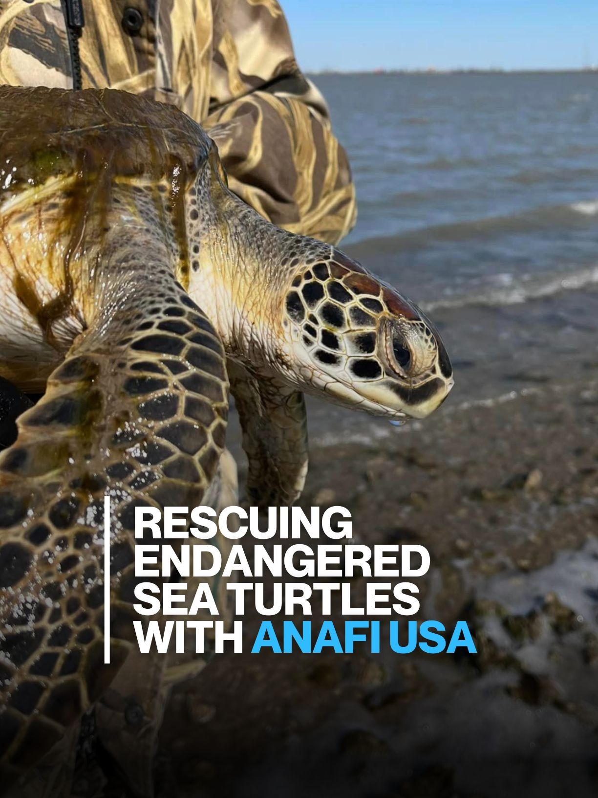 Rescuing endangered sea turtles with ANAFI USA | Parrot