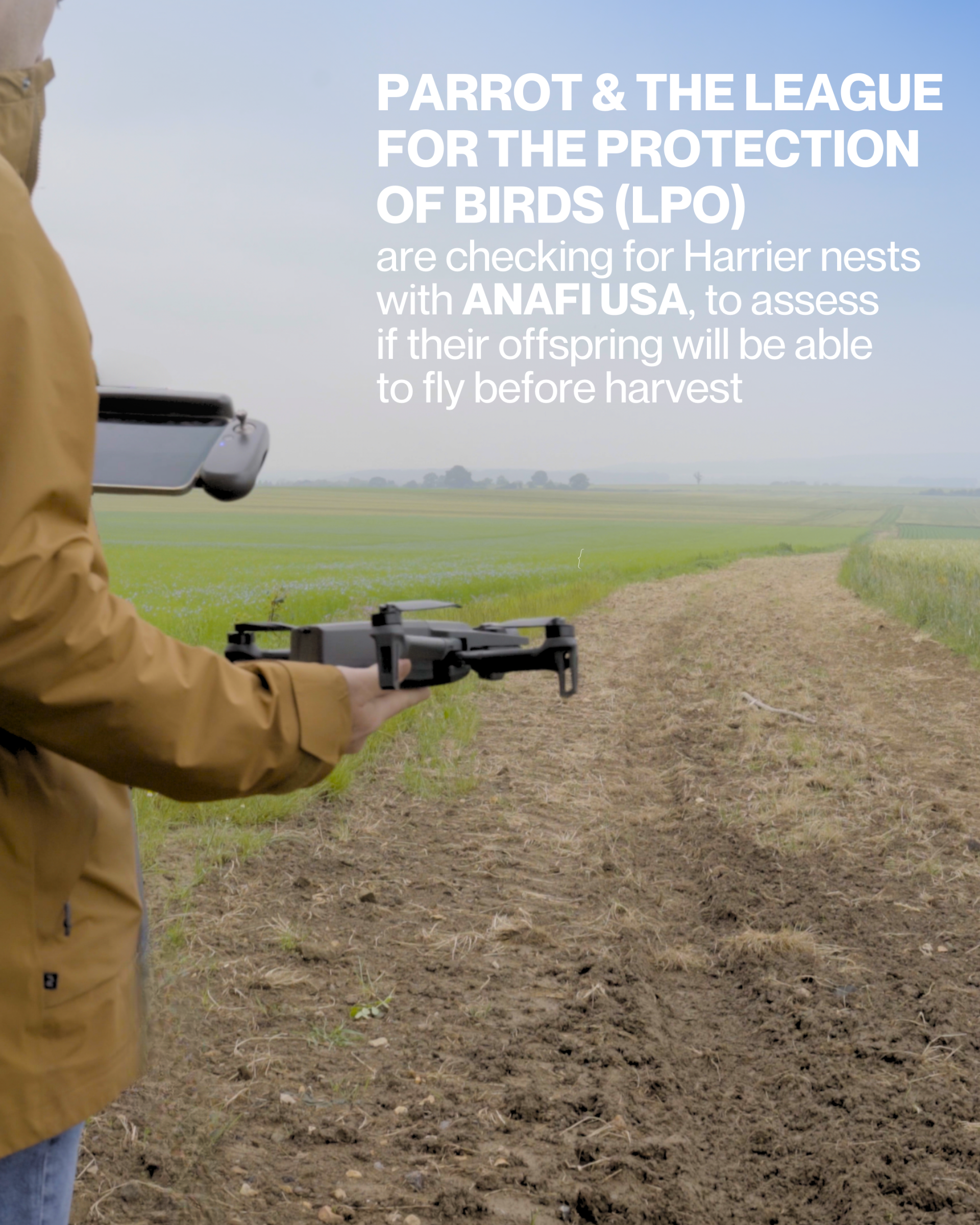 Parrot ANAFI USA saving birds | Parrot