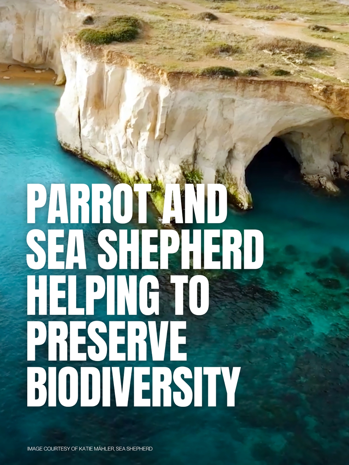Parrot and Sea Shepherd helping to preserve biodiversity | Parrot